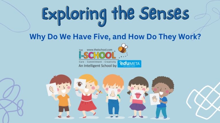 Exploring the Senses: Why Do We Have Five, and How Do They Work? - Top ...