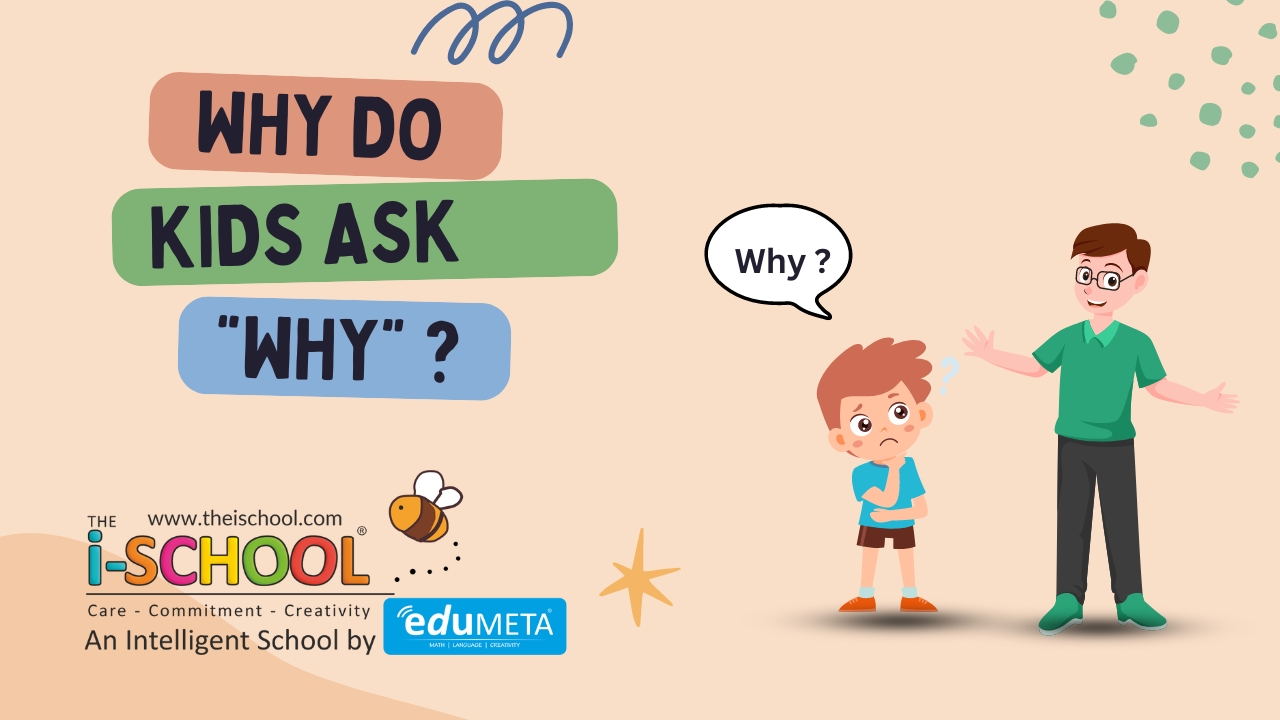 Why Do Kids Ask “Why”? - Top Play School In India